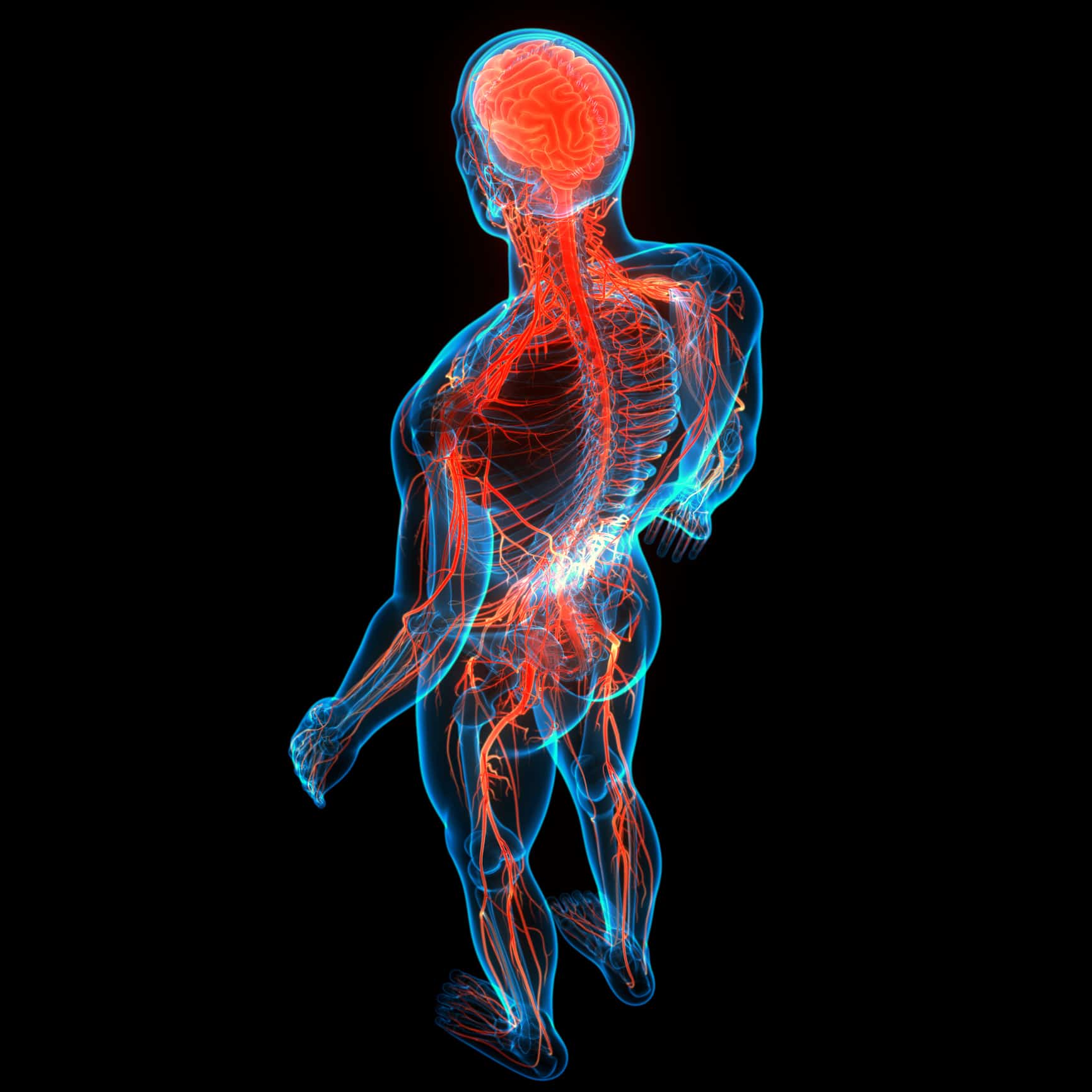 Selective Nerve Root Blocks from Pain Management Doctors - Illinois ...